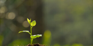 grow Archives - OutreachMagazine.com