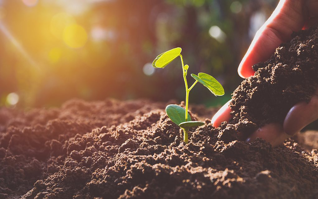 Ed Stetzer: A New Church-Planting Era - outreachmagazine.com