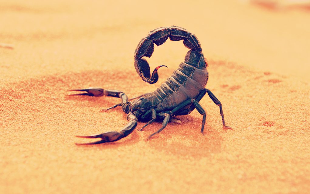 Resisting the Urge - outreachmagazine.com